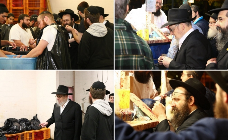 Ensuring The Kashrus of Kapparos - Chabadinfo.com