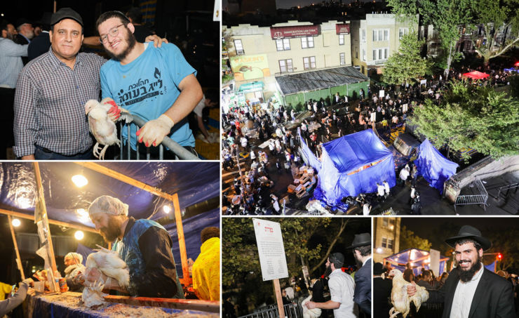 Gallery 3: Community, Guests Perform Kapparos - Chabadinfo.com