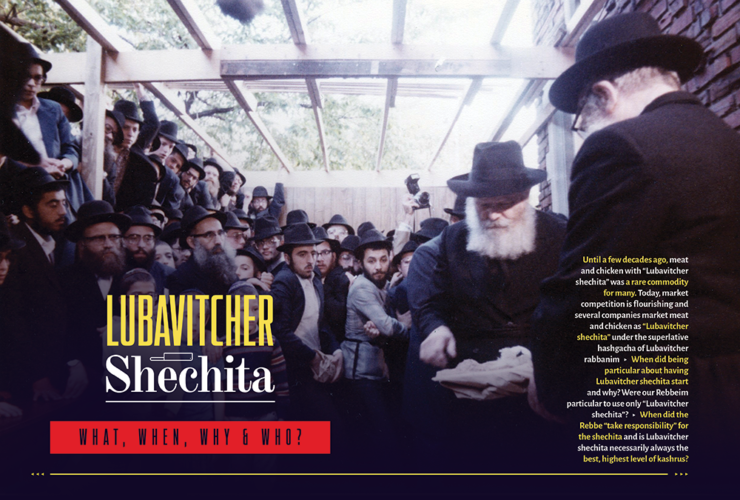Lubavitcher Shechita: What, When, Why & Who? - Chabadinfo.com