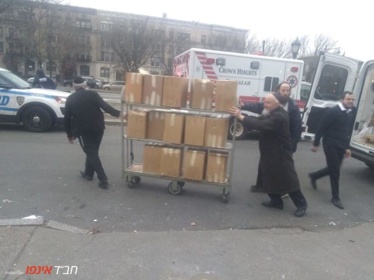 New Seforim Arrive at the Library - Chabadinfo.com