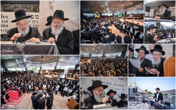 Siyum Harambam by the Rambam’s Kever - Chabadinfo.com