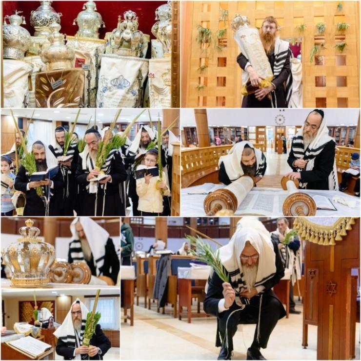 Gallery: Hoshana Rabba in Moscow - Chabadinfo.com
