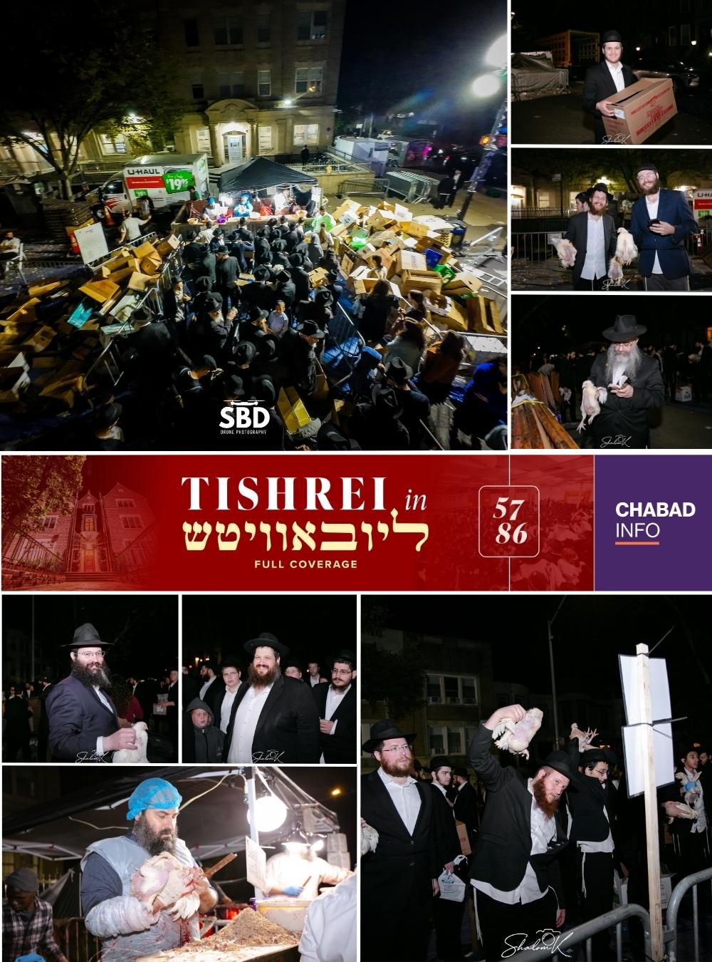 Gallery: Thousands Perform Kaparos in Crown Heights - Chabadinfo.com